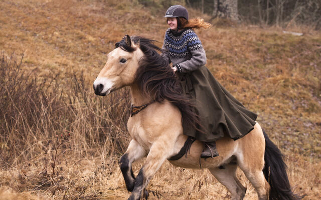 Hjem - NASJONALT SENTER FOR NORDLANDSHEST /LYNGSHEST AS